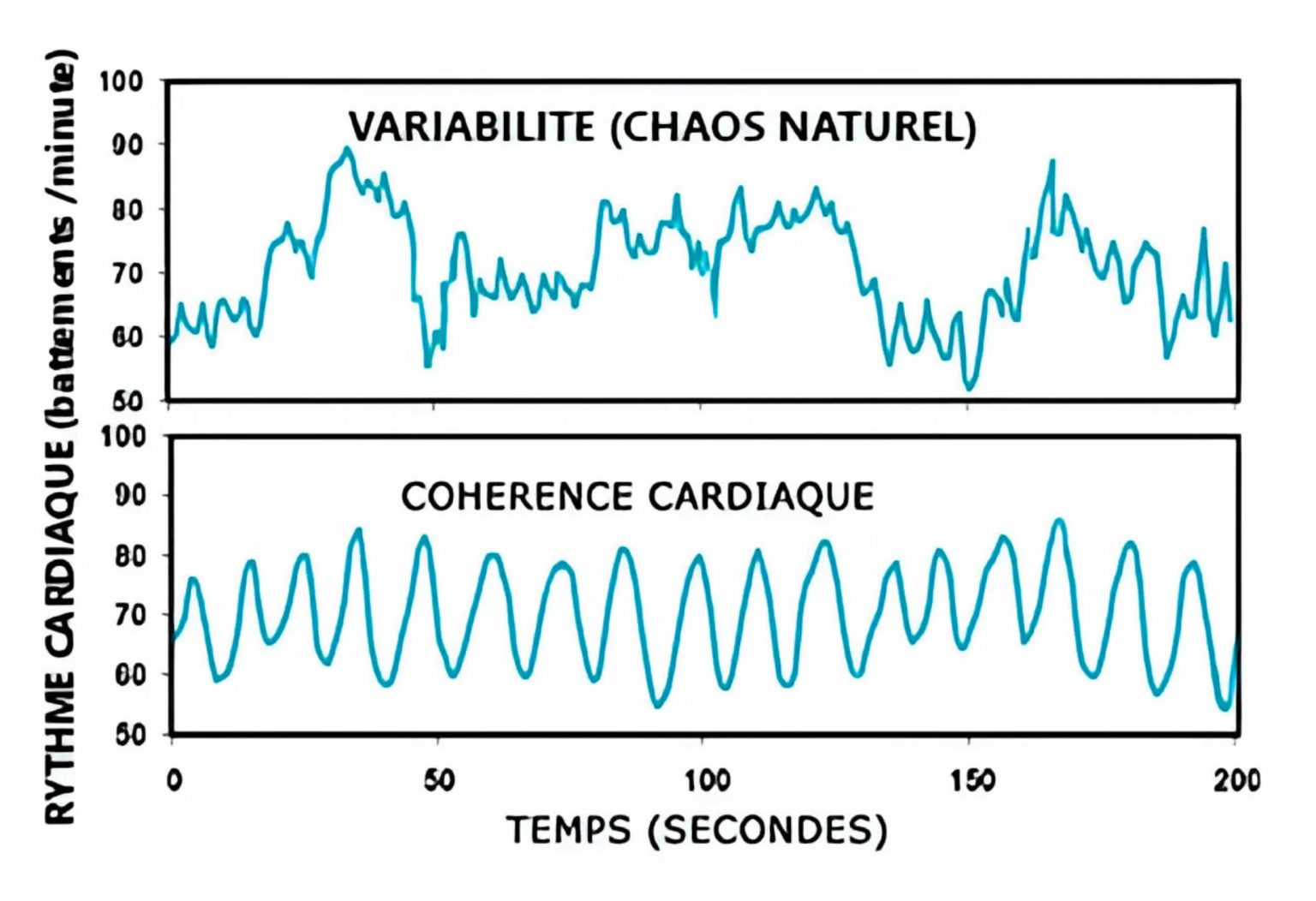 La science derrière la cohérence cardiaque : comment ça fonctionne